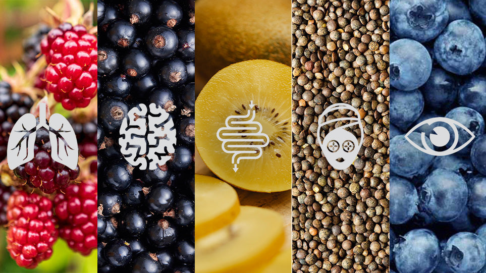 The Science Behind Superfruits: Unlock Nature’s Health Power – Korure