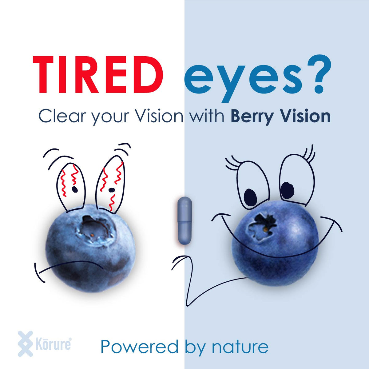 Berry Vision – Korure